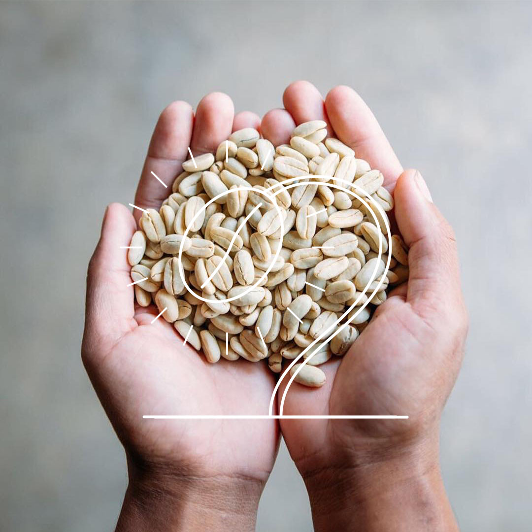 Morph Coffee – Coffee Roastery